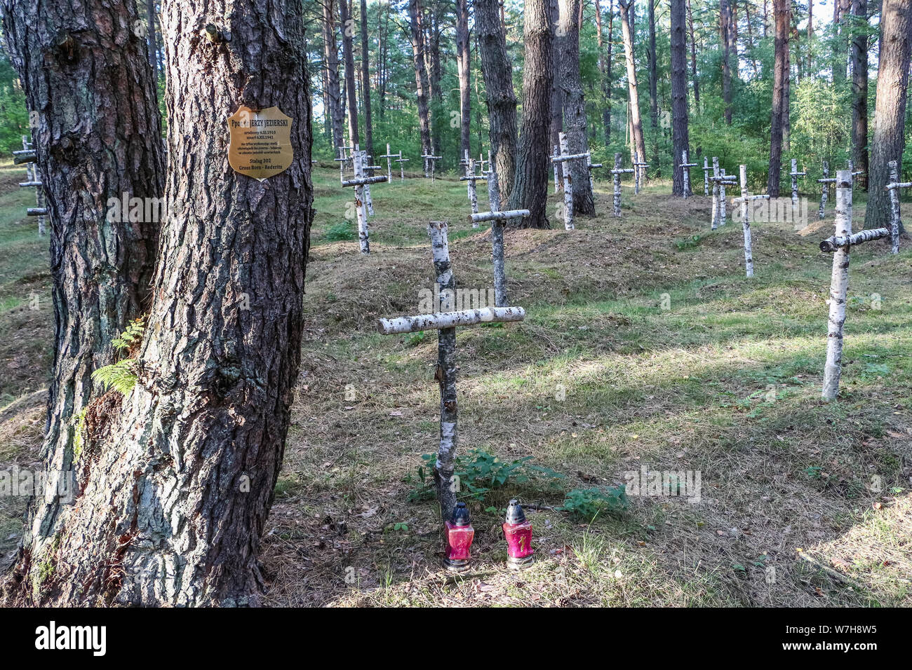 Birch crosses hi-res stock photography and images - Alamy