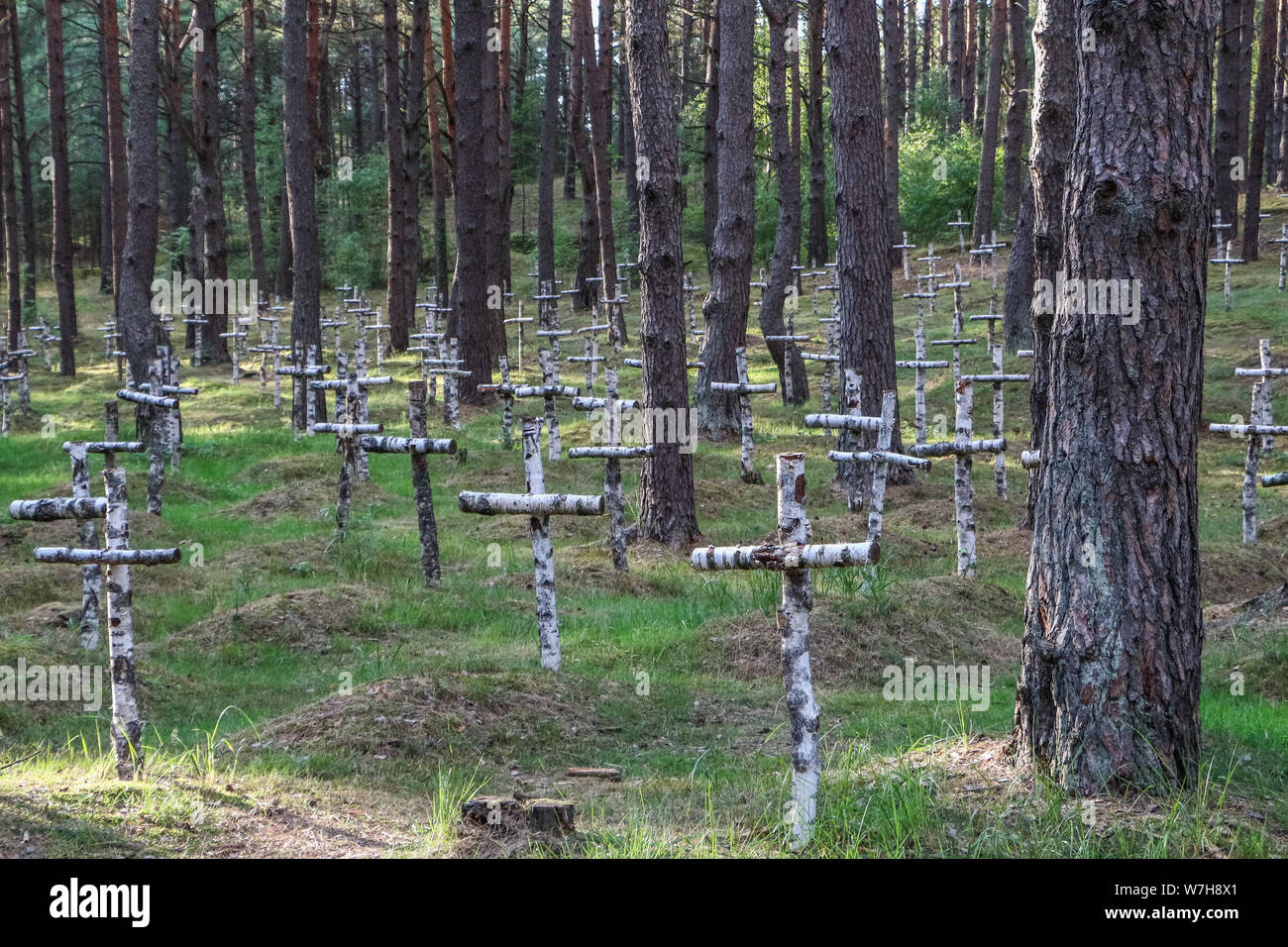 Birch crosses hi-res stock photography and images - Alamy