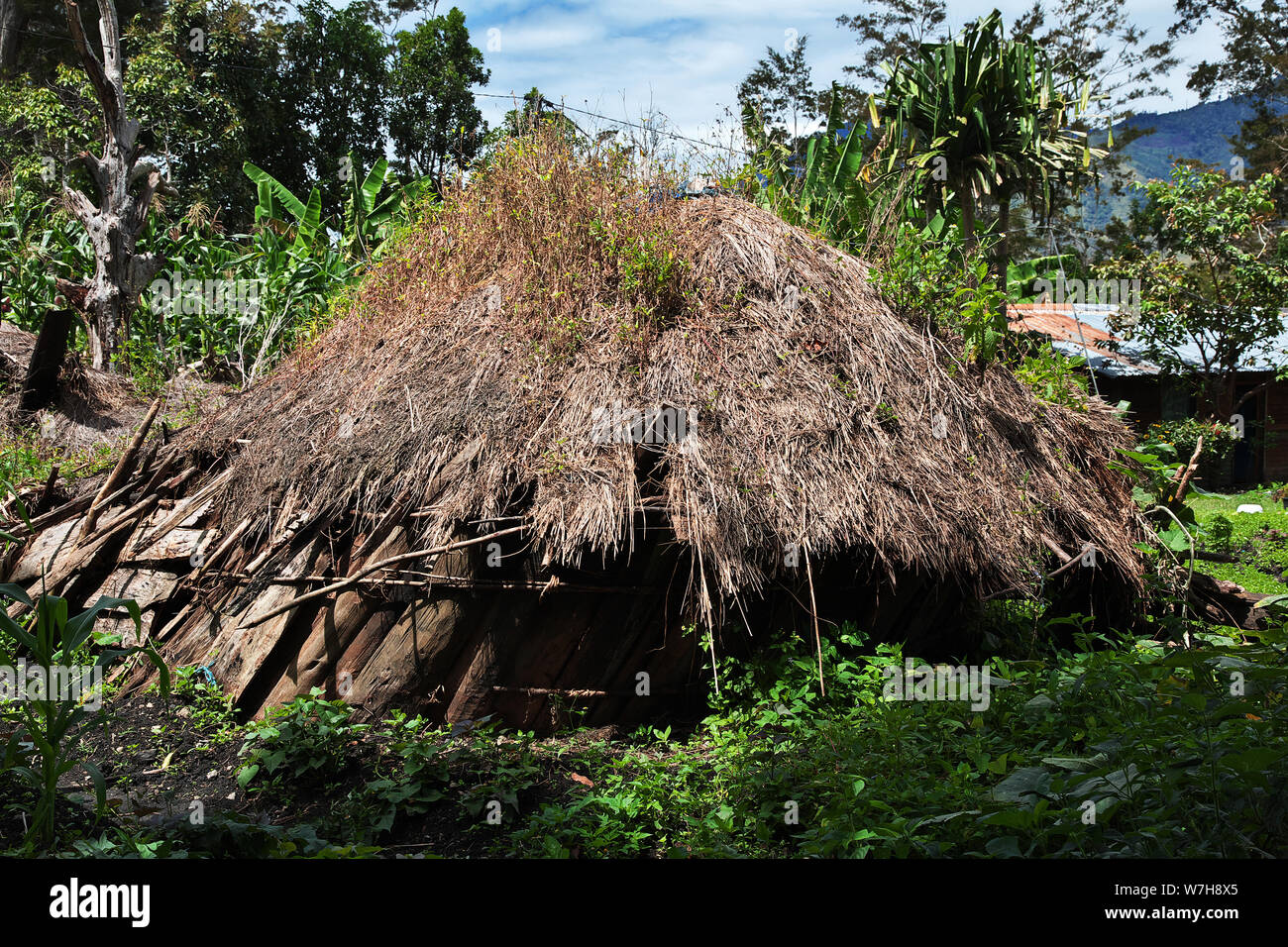 The village in valley of Wamena, Papua Stock Photo - Alamy