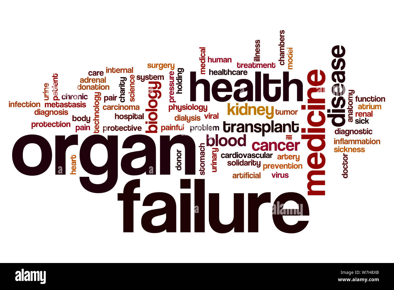Organ failure word cloud concept Stock Photo - Alamy