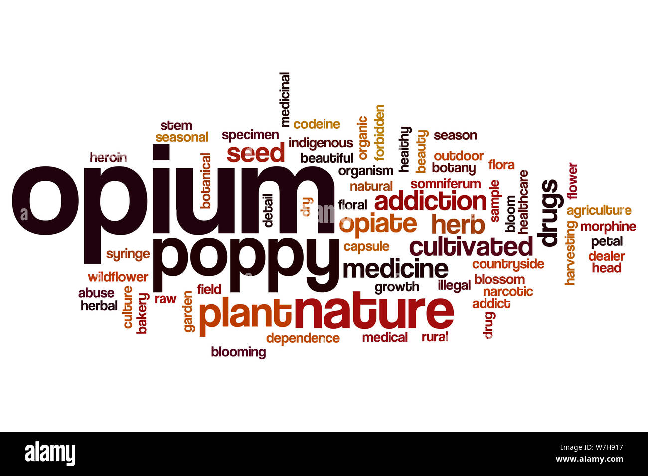 Opium word cloud concept Stock Photo - Alamy