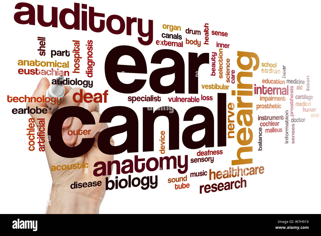 Ear canal word cloud concept Stock Photo - Alamy