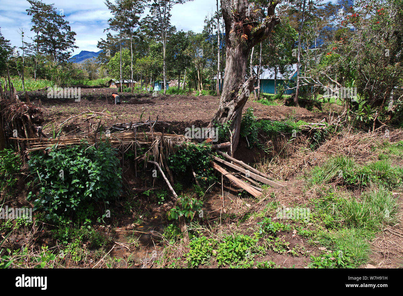 The village in valley of Wamena, Papua Stock Photo - Alamy