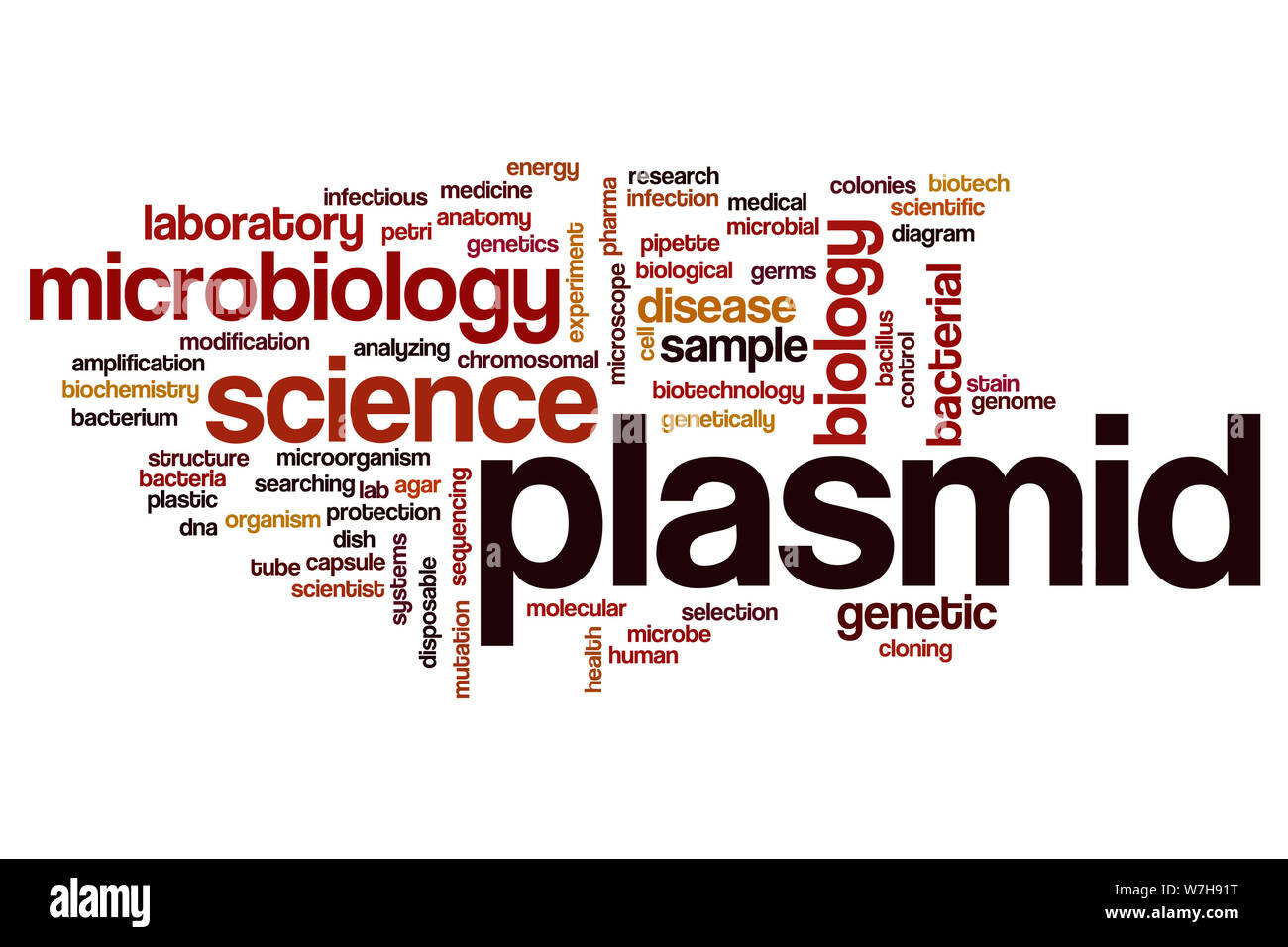 Plasmid dna bacteria hi-res stock photography and images - Alamy
