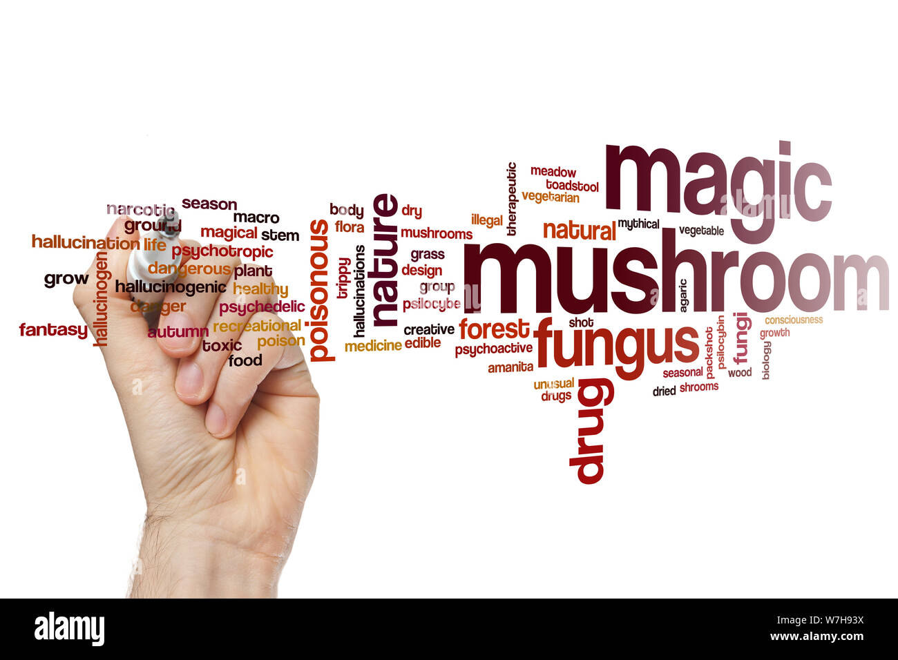 Magic mushroom word cloud concept Stock Photo - Alamy