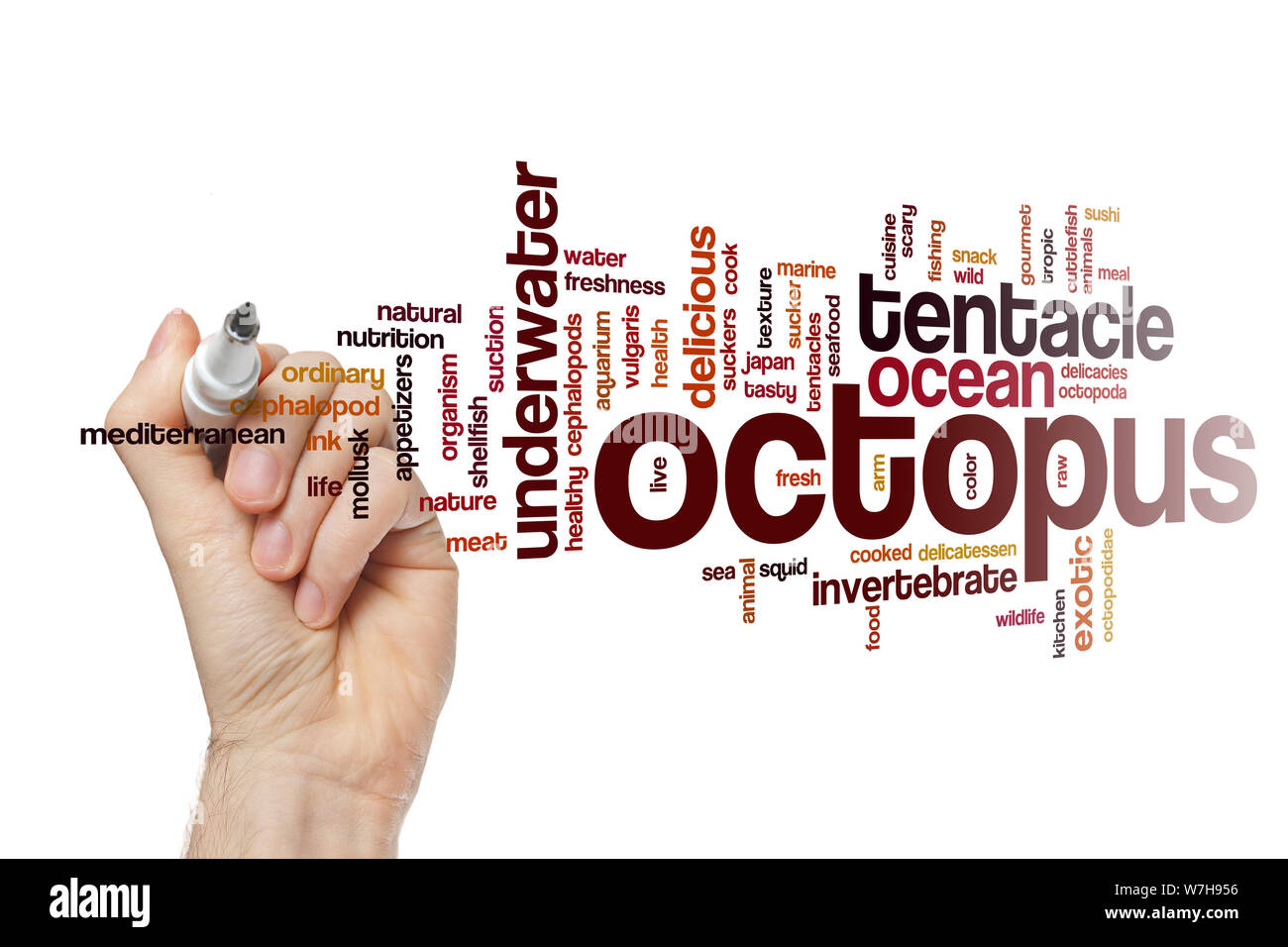 Octopus word hi-res stock photography and images - Alamy