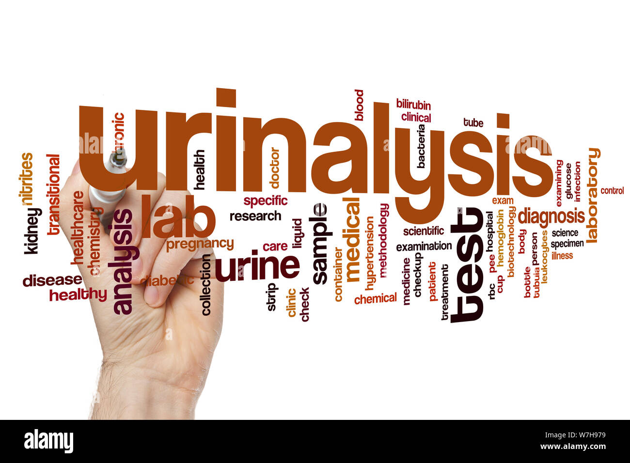Urinalysis word cloud concept Stock Photo - Alamy