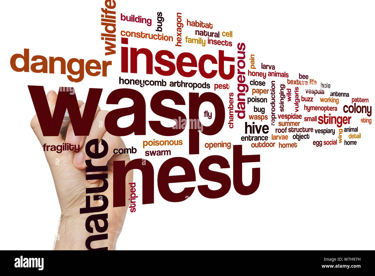 Wasp nest word cloud concept Stock Photo - Alamy