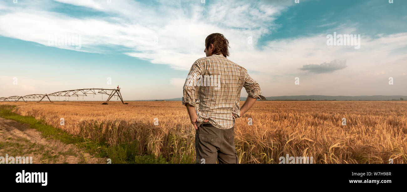 Wheat Field Blowing In Wind High Resolution Stock Photography and ...