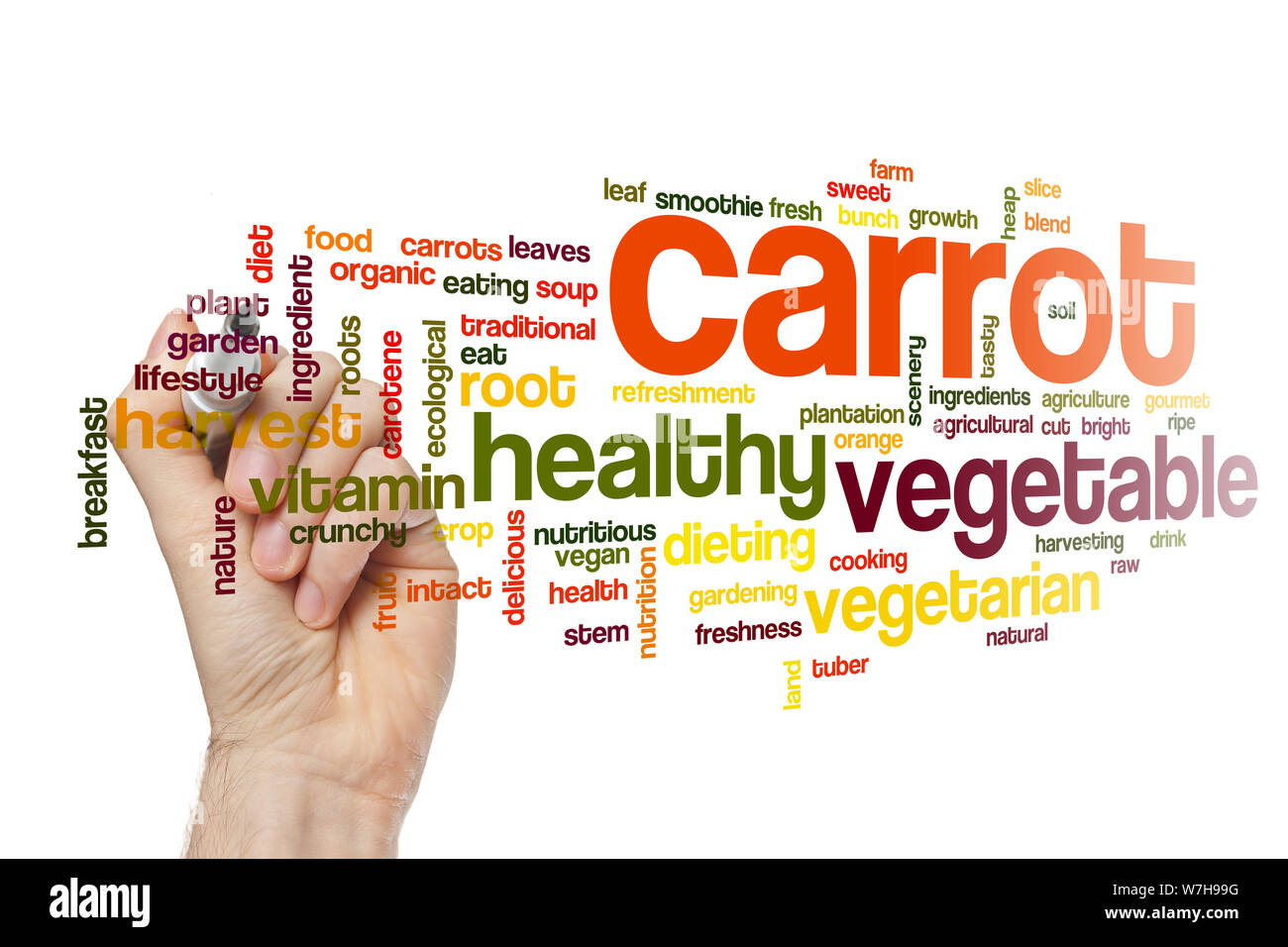 Carrot word cloud Stock Photo - Alamy