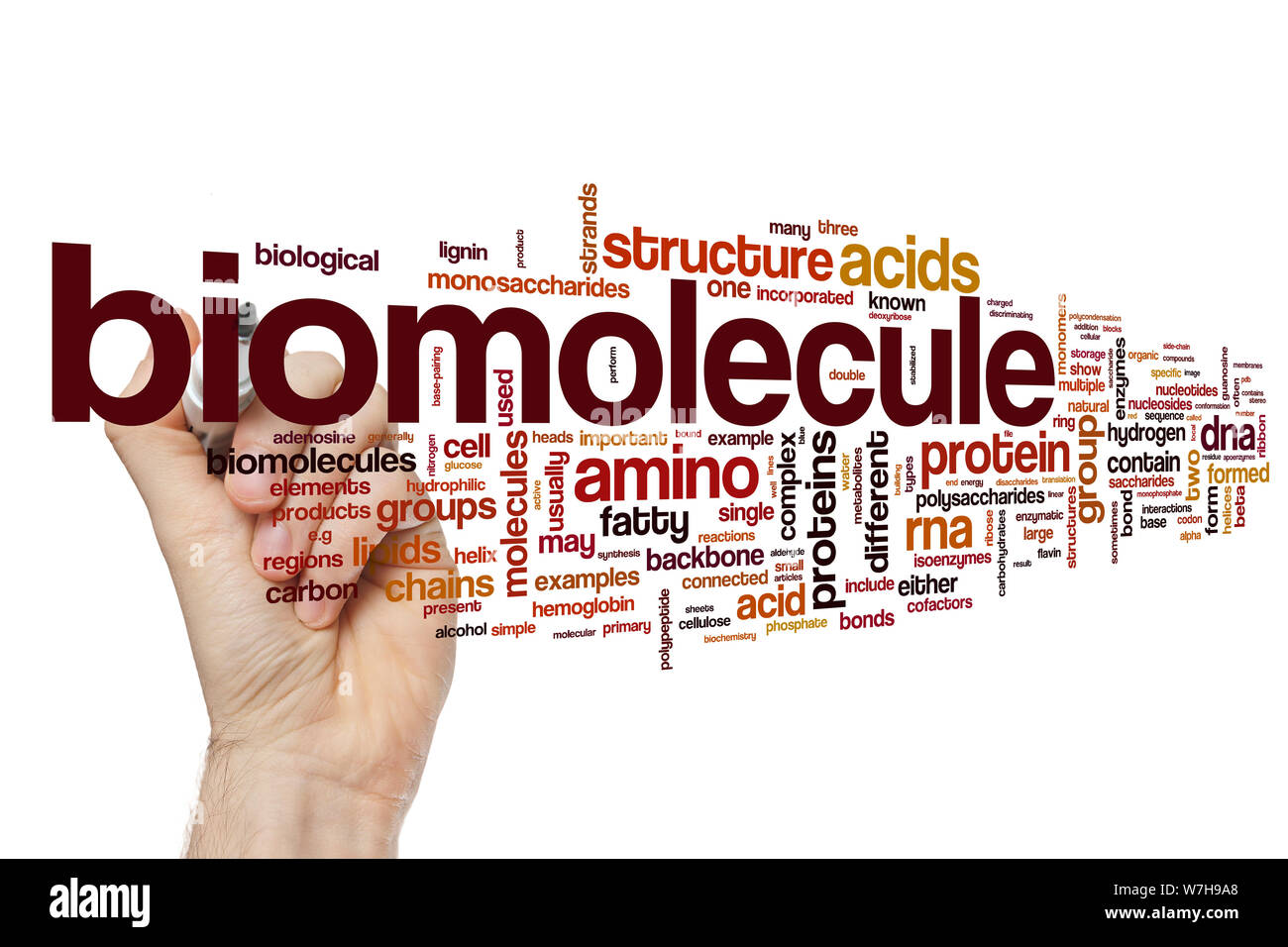 Biomolecule word cloud Stock Photo - Alamy