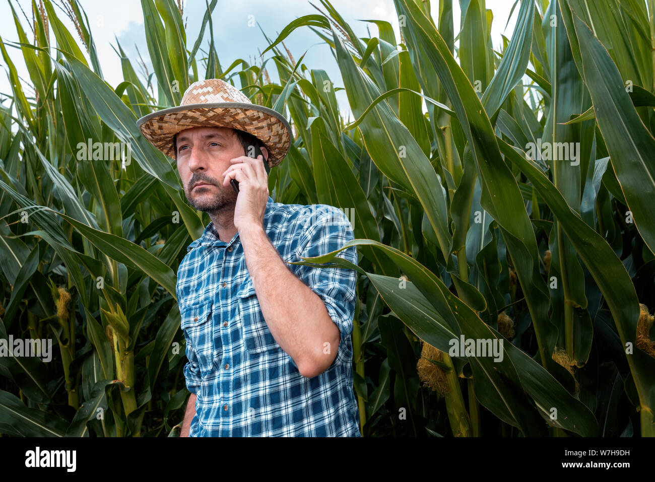 Handsome farmer hi-res stock photography and images - Alamy