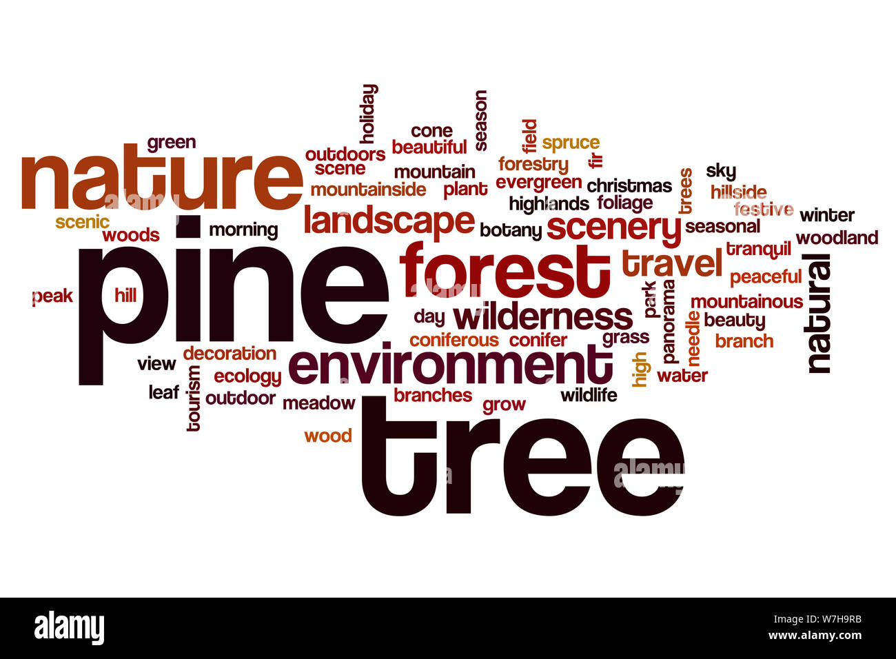 Pine tree word cloud concept Stock Photo - Alamy