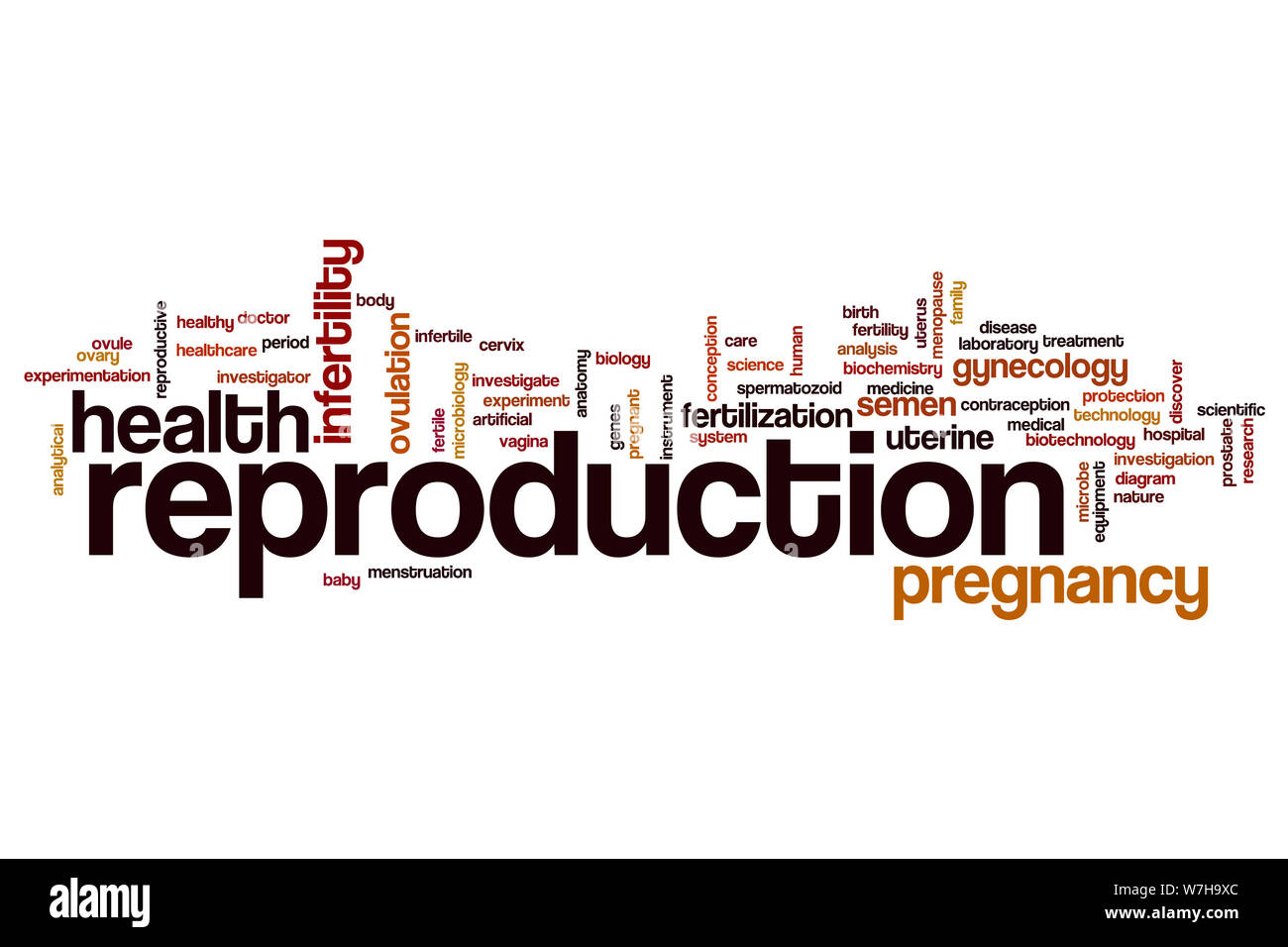 Reproduction word cloud concept Stock Photo - Alamy