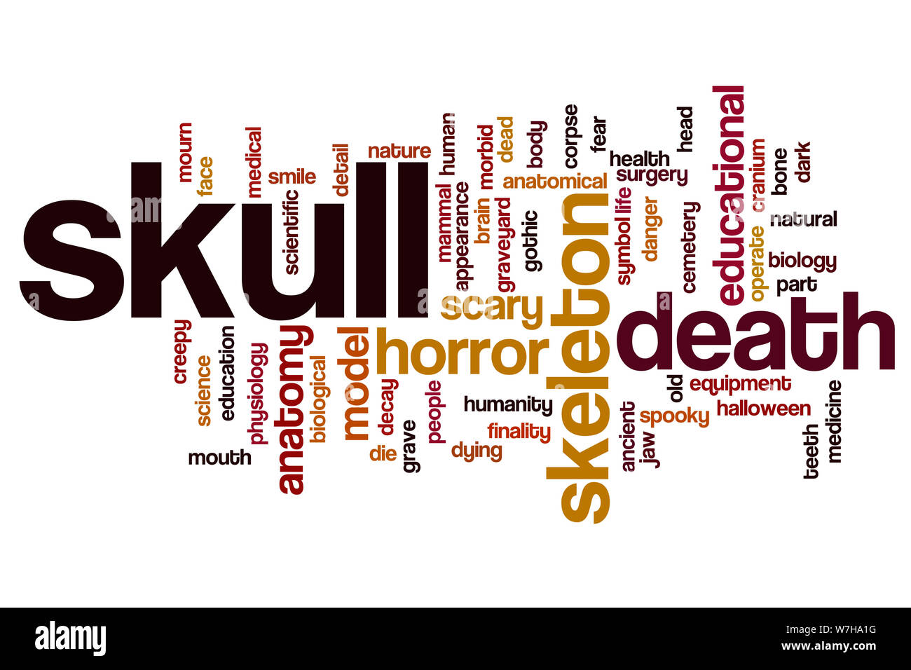 Skull word cloud concept Stock Photo - Alamy