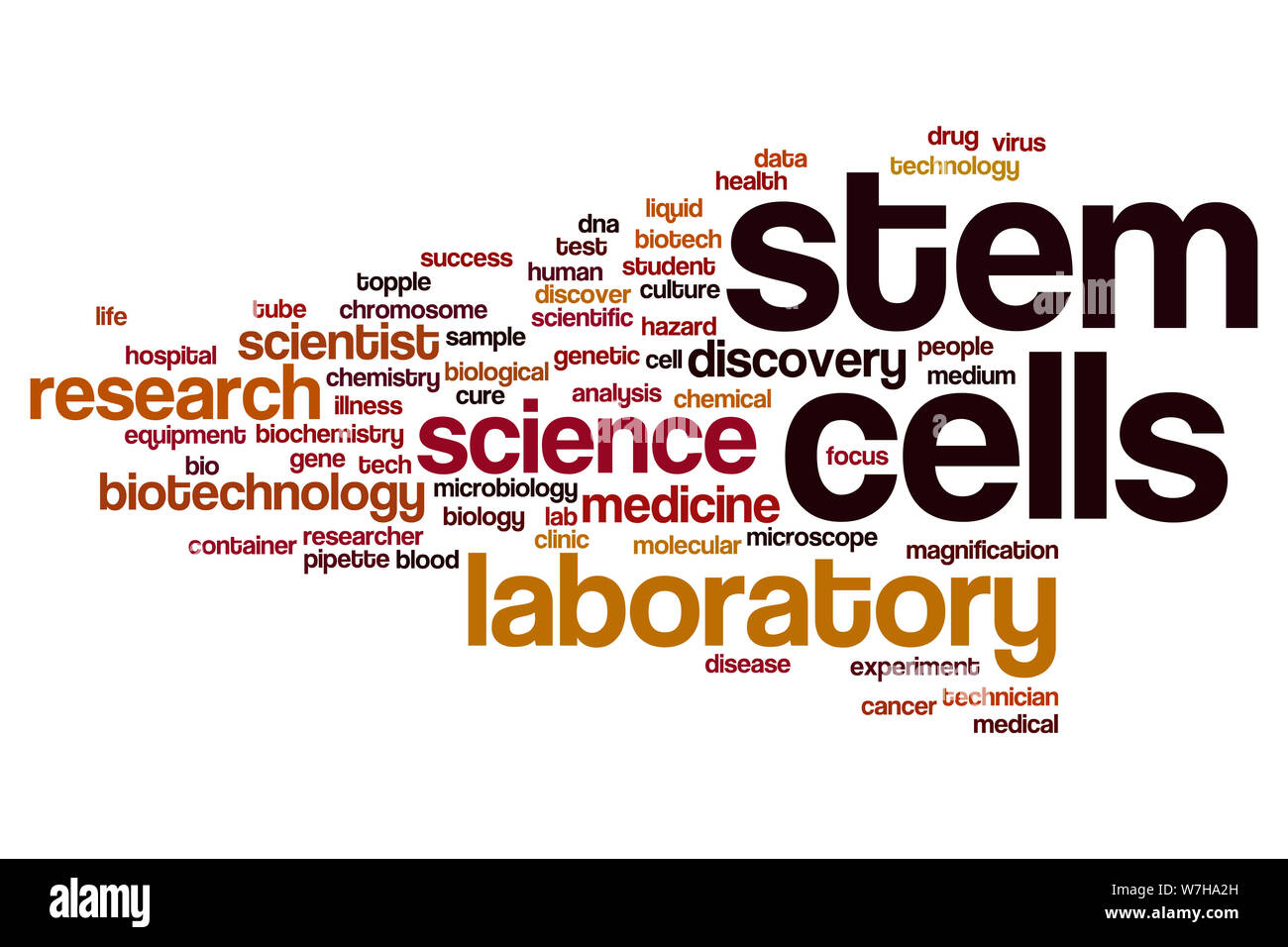 Stem cells word cloud concept Stock Photo - Alamy