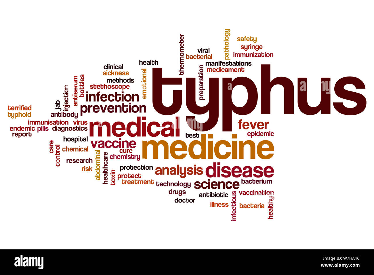 Typhus hi-res stock photography and images - Alamy