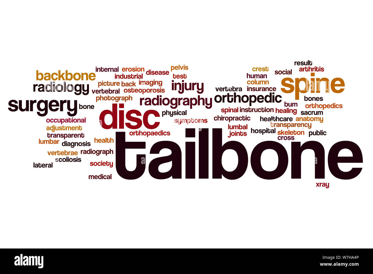 Tailbone hi-res stock photography and images - Alamy