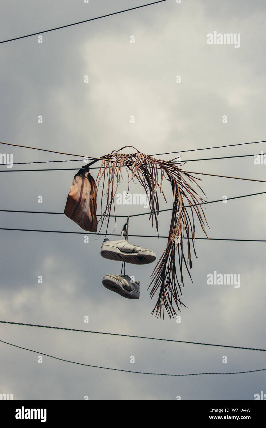 shoes on electric wire with dried palm leaf Stock Photo - Alamy