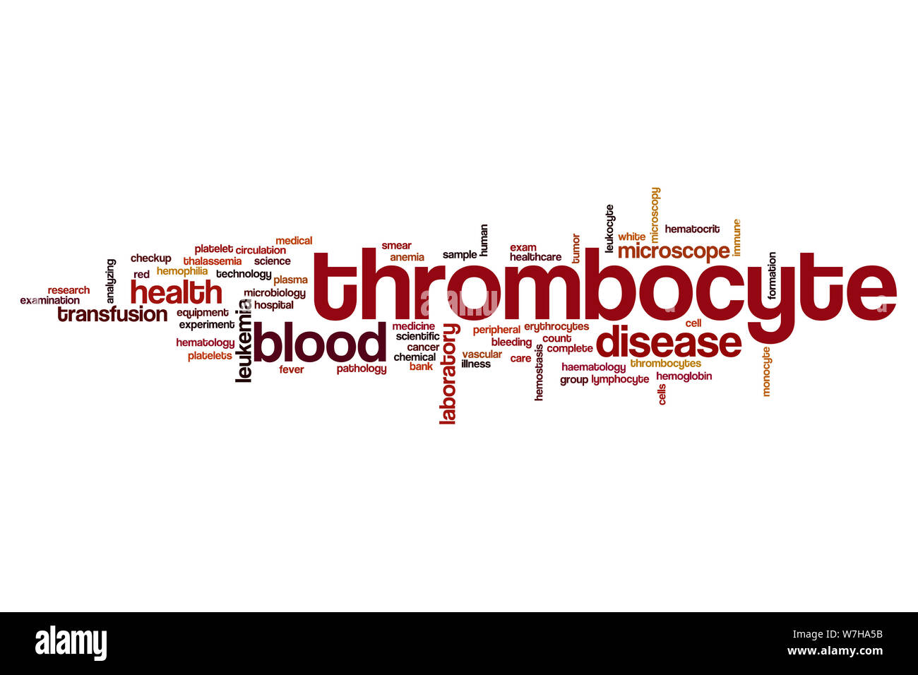 Thrombocyte hi-res stock photography and images - Alamy