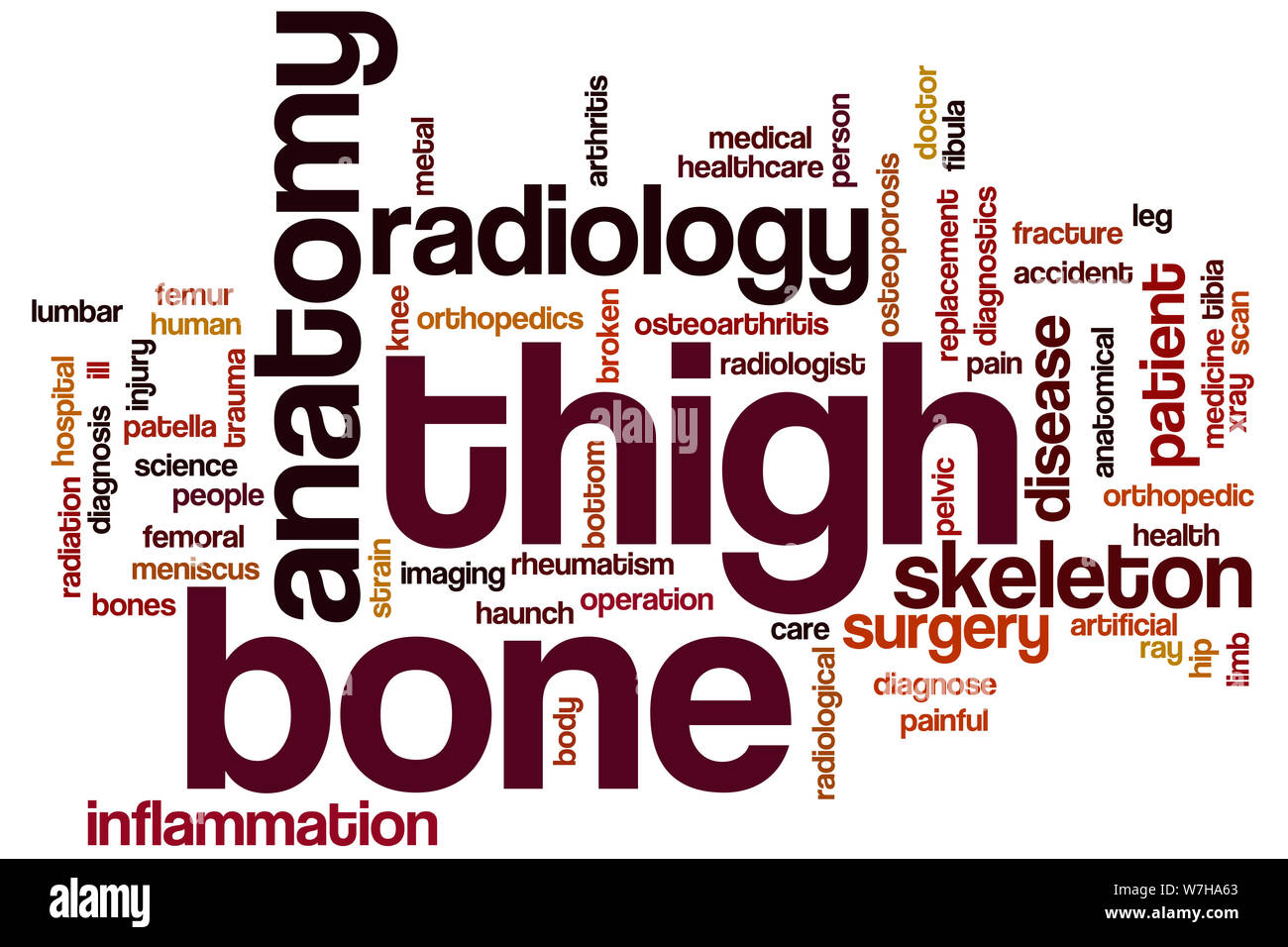 Knee bone skeleton ray scan Cut Out Stock Images & Pictures - Alamy