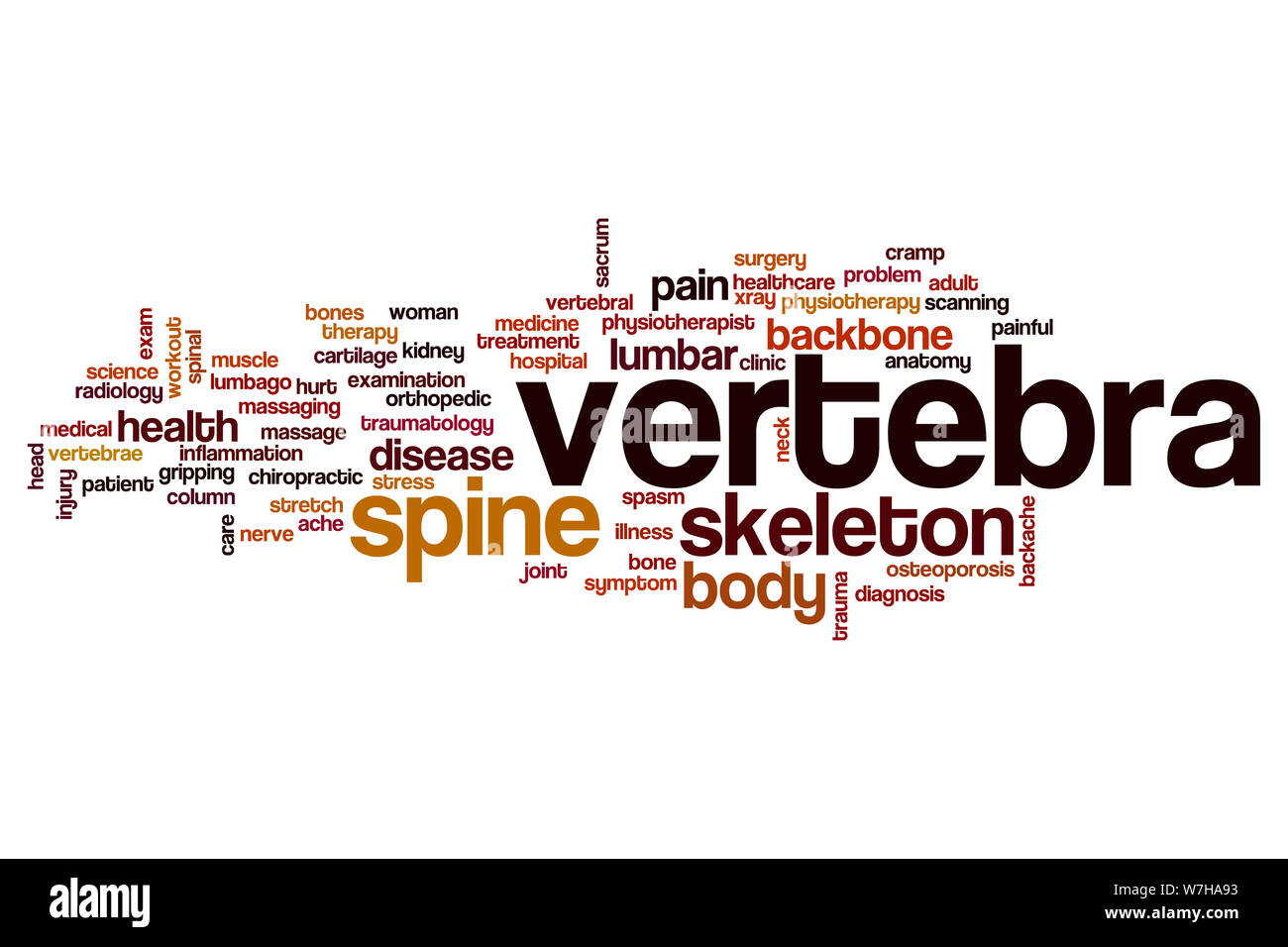 Vertebra word cloud concept Stock Photo - Alamy