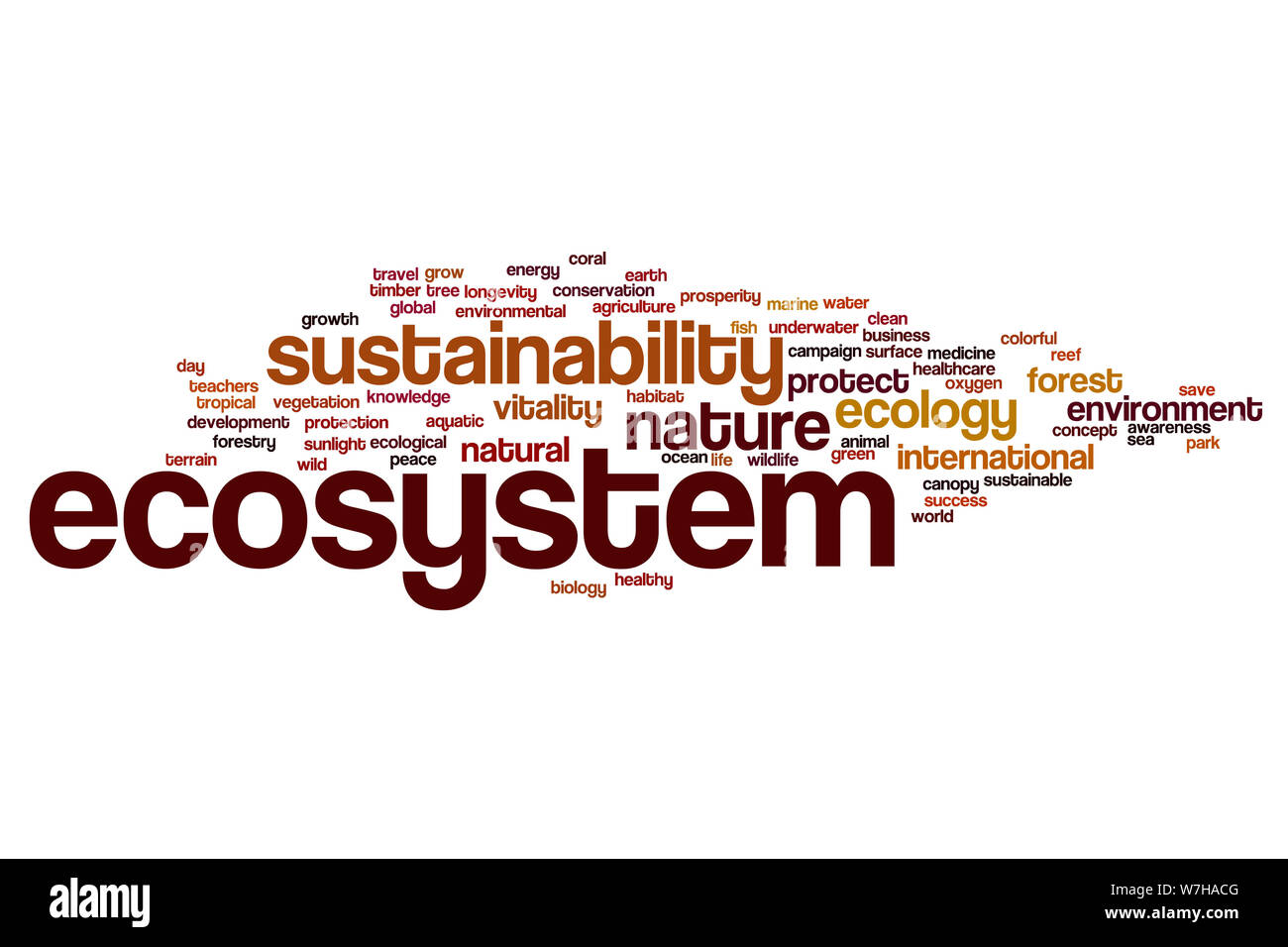 Ecosystem word cloud concept Stock Photo - Alamy