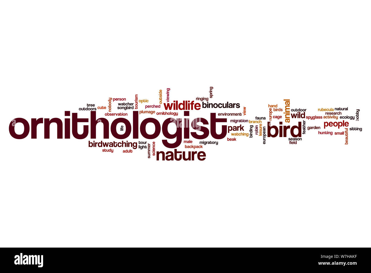 Beak study Cut Out Stock Images & Pictures - Alamy