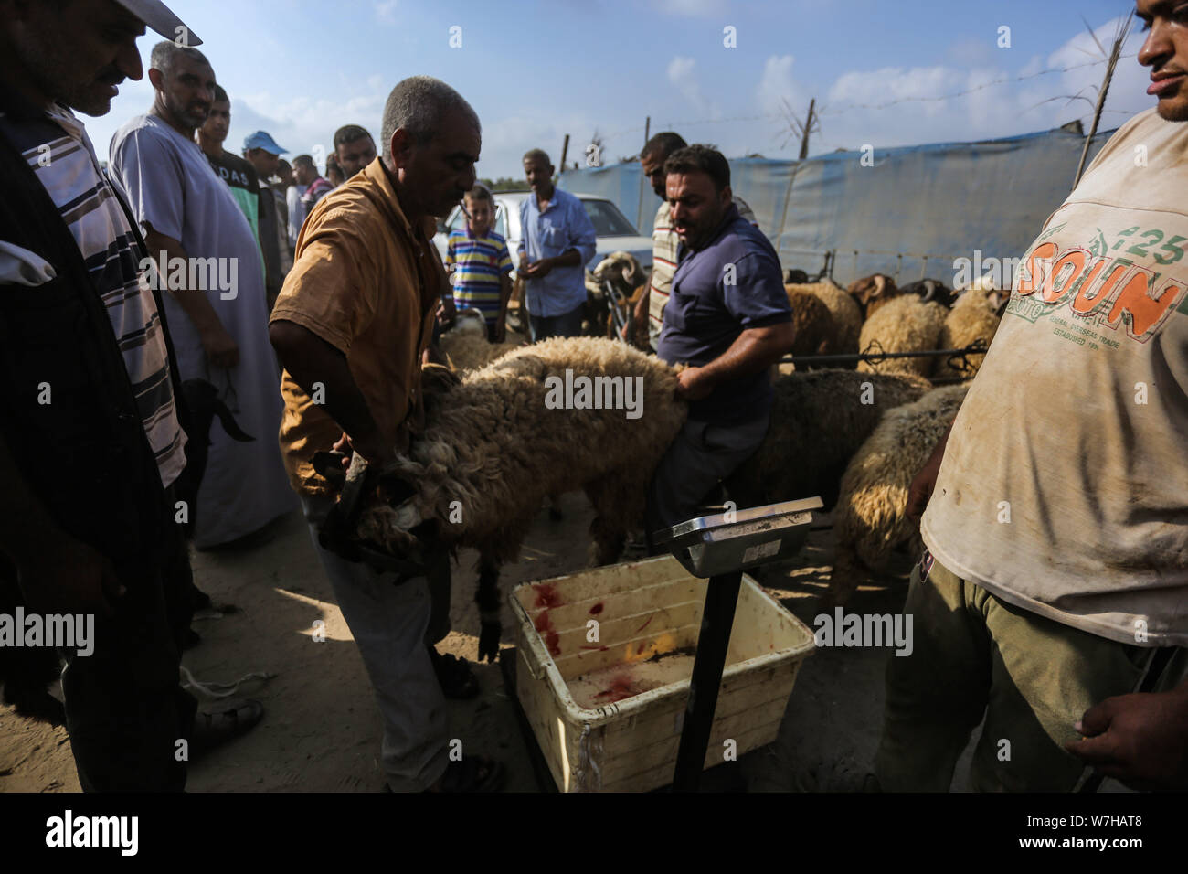 Bureij refugee camp hi-res stock photography and images - Alamy
