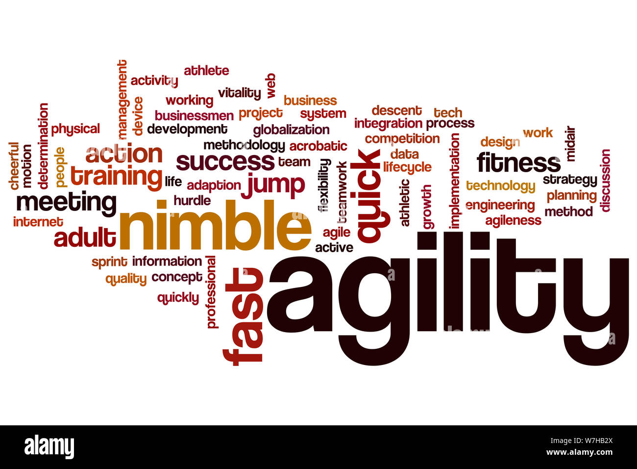 Agility training Cut Out Stock Images & Pictures - Alamy