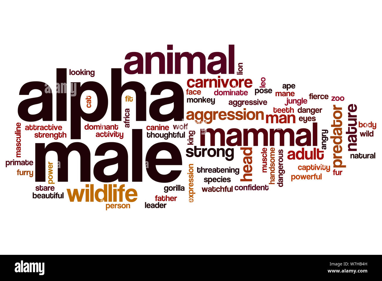 Alpha male word cloud concept Stock Photo - Alamy