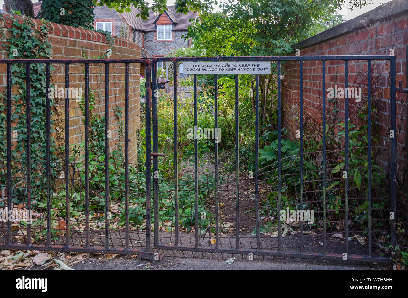 Gate to stop ducks hi-res stock photography and images - Alamy