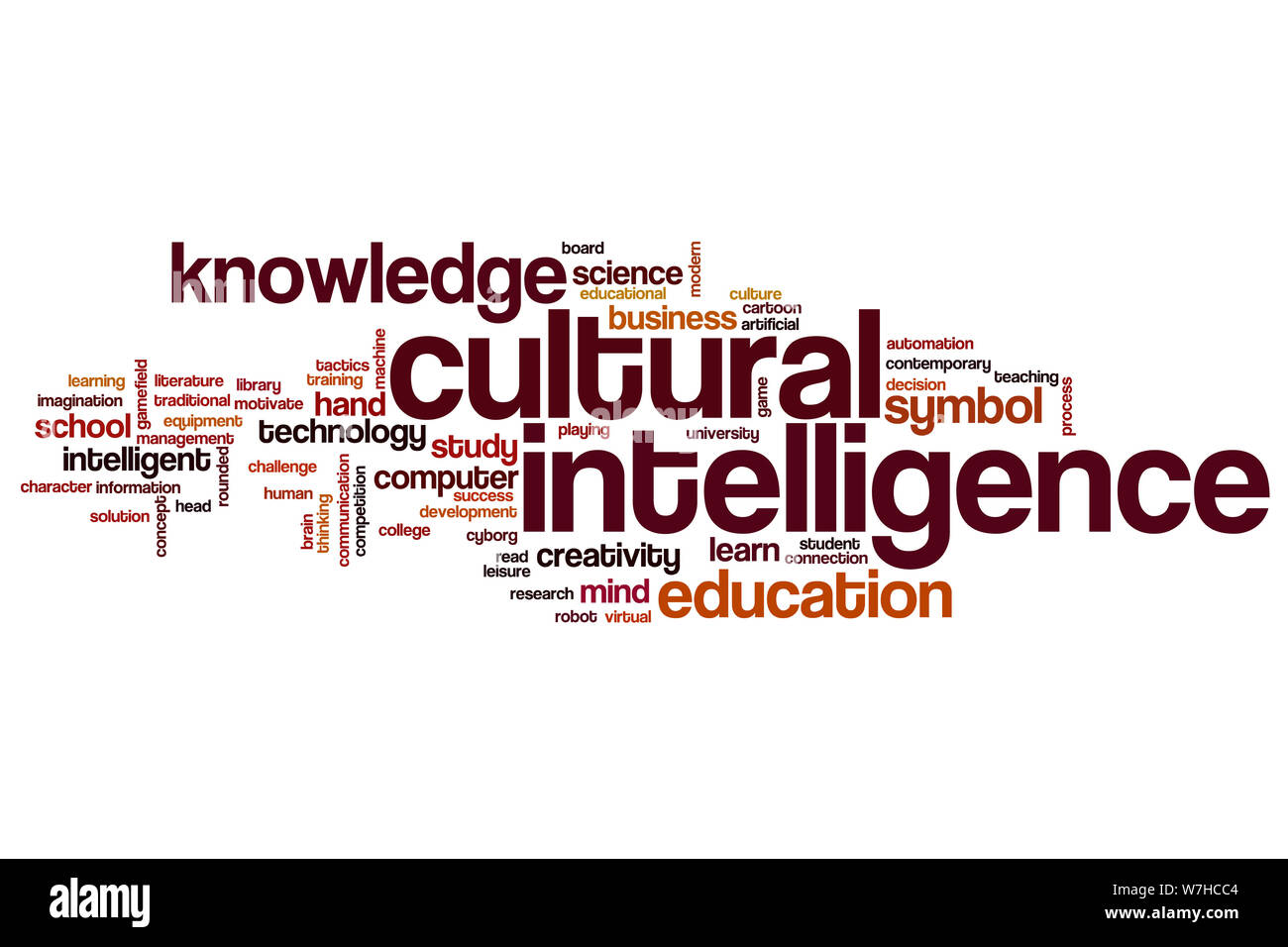 Examples Of Cultural Intelligence