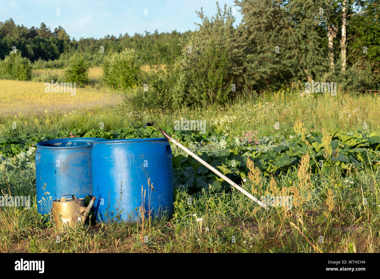 Vegetable garden cultivation, gardening with permaculture principles ...