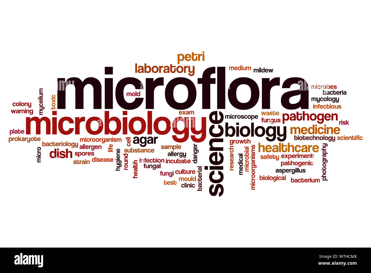 Microflora hi-res stock photography and images - Alamy