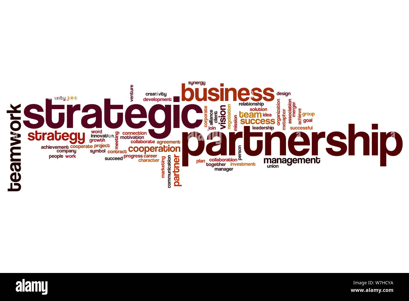 Local Strategic Partnership