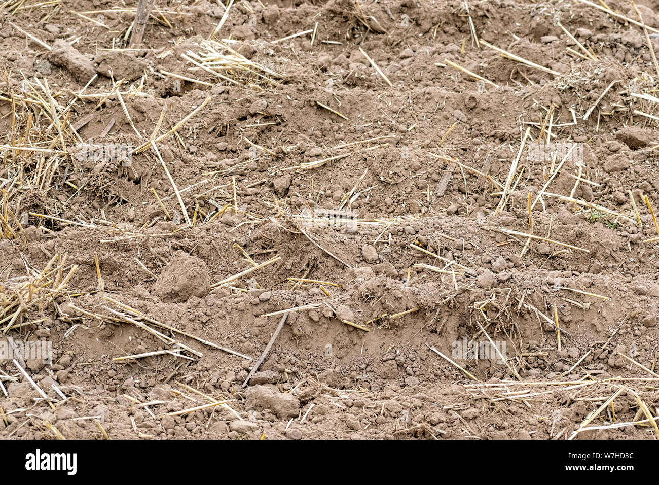 Fresh soil tillage closeup background texture Stock Photo - Alamy