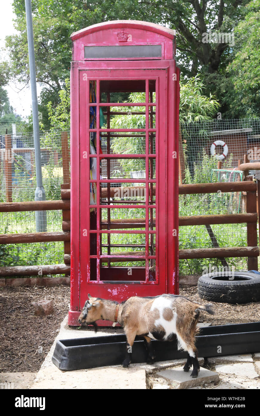 Goat at Spitalfields City Farm, an urban oasis near edgy Brick Lane, in ...