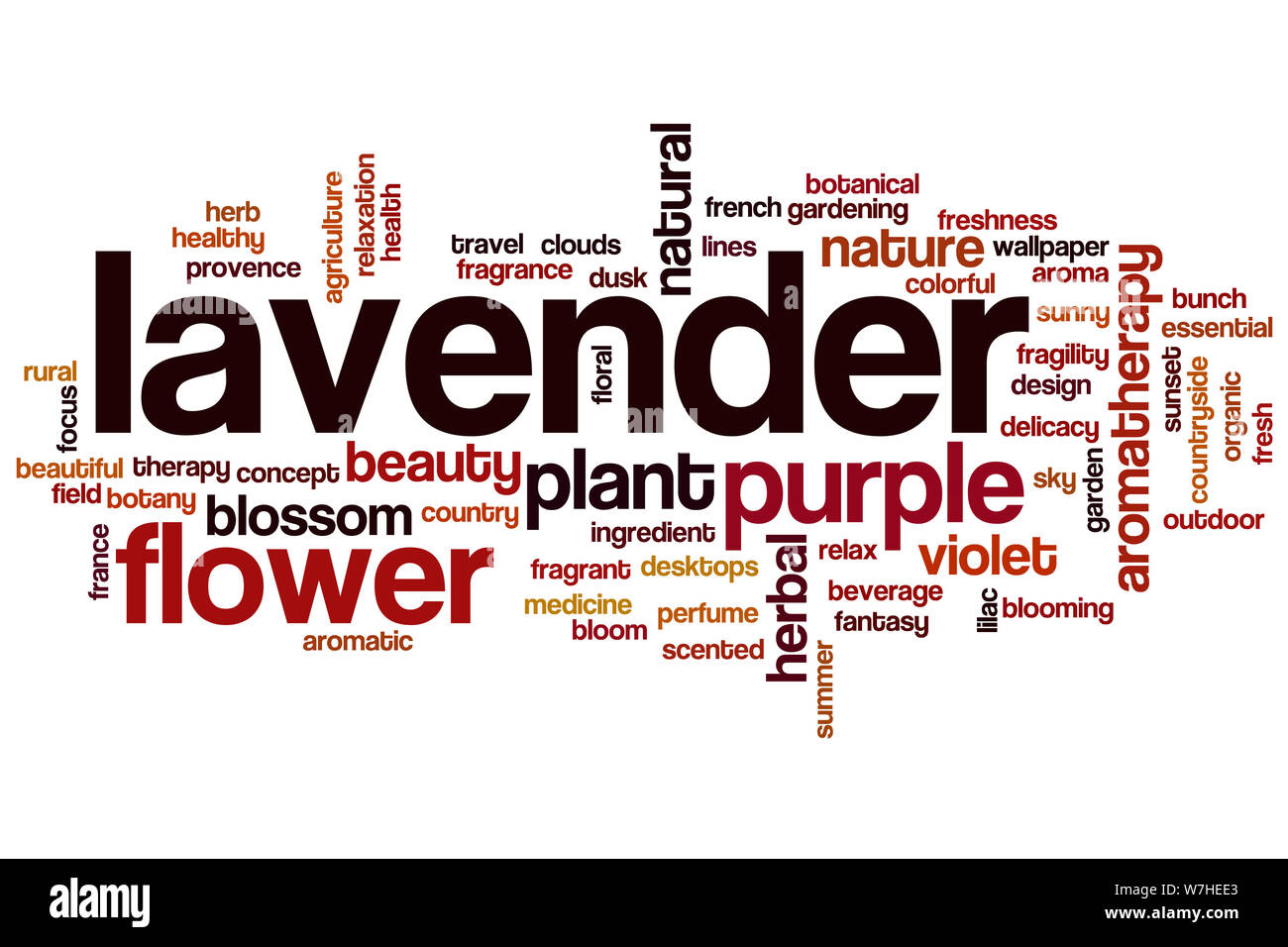 Lavender field france Cut Out Stock Images & Pictures - Alamy