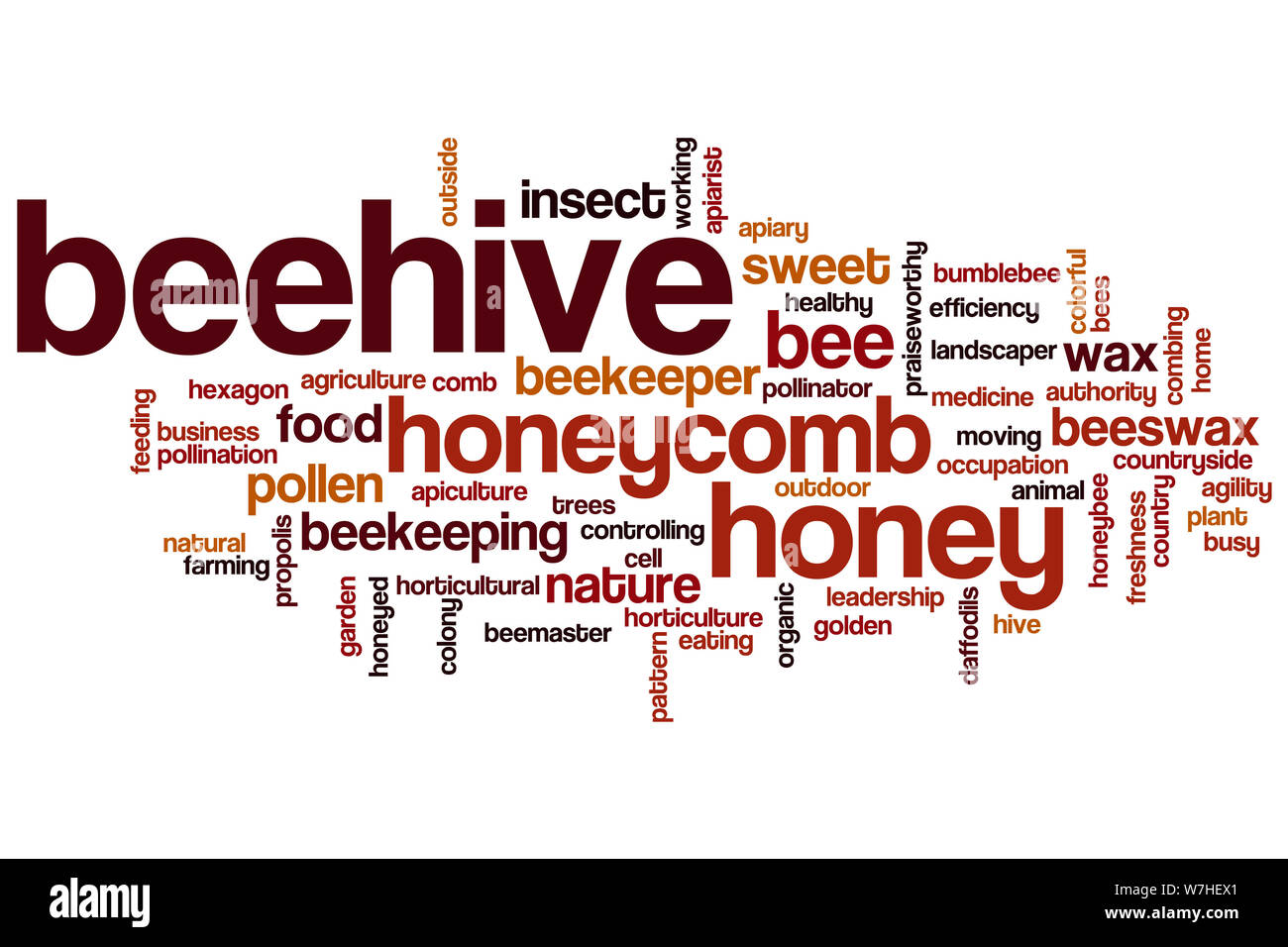 Beehive word cloud concept Stock Photo - Alamy