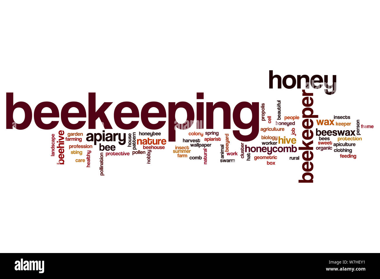 Beekeeping word cloud concept Stock Photo - Alamy