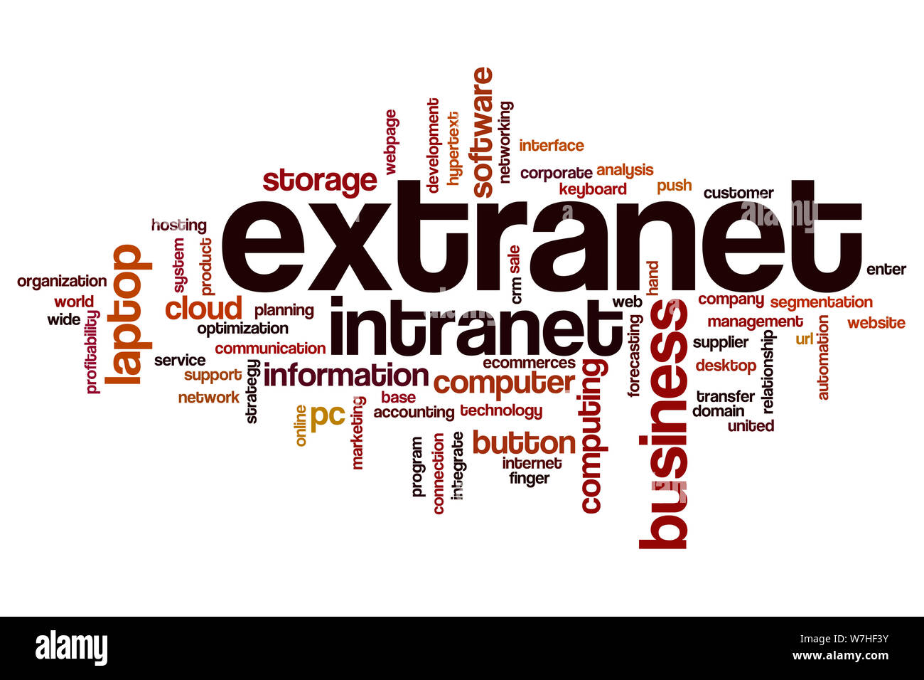 Extranet Icon