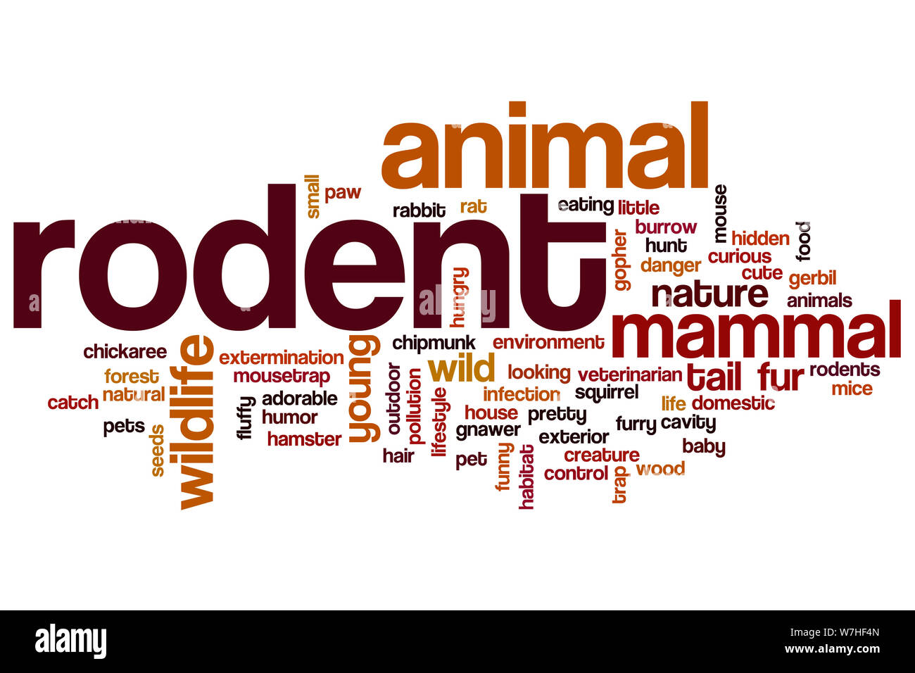 Rodent word cloud concept Stock Photo - Alamy