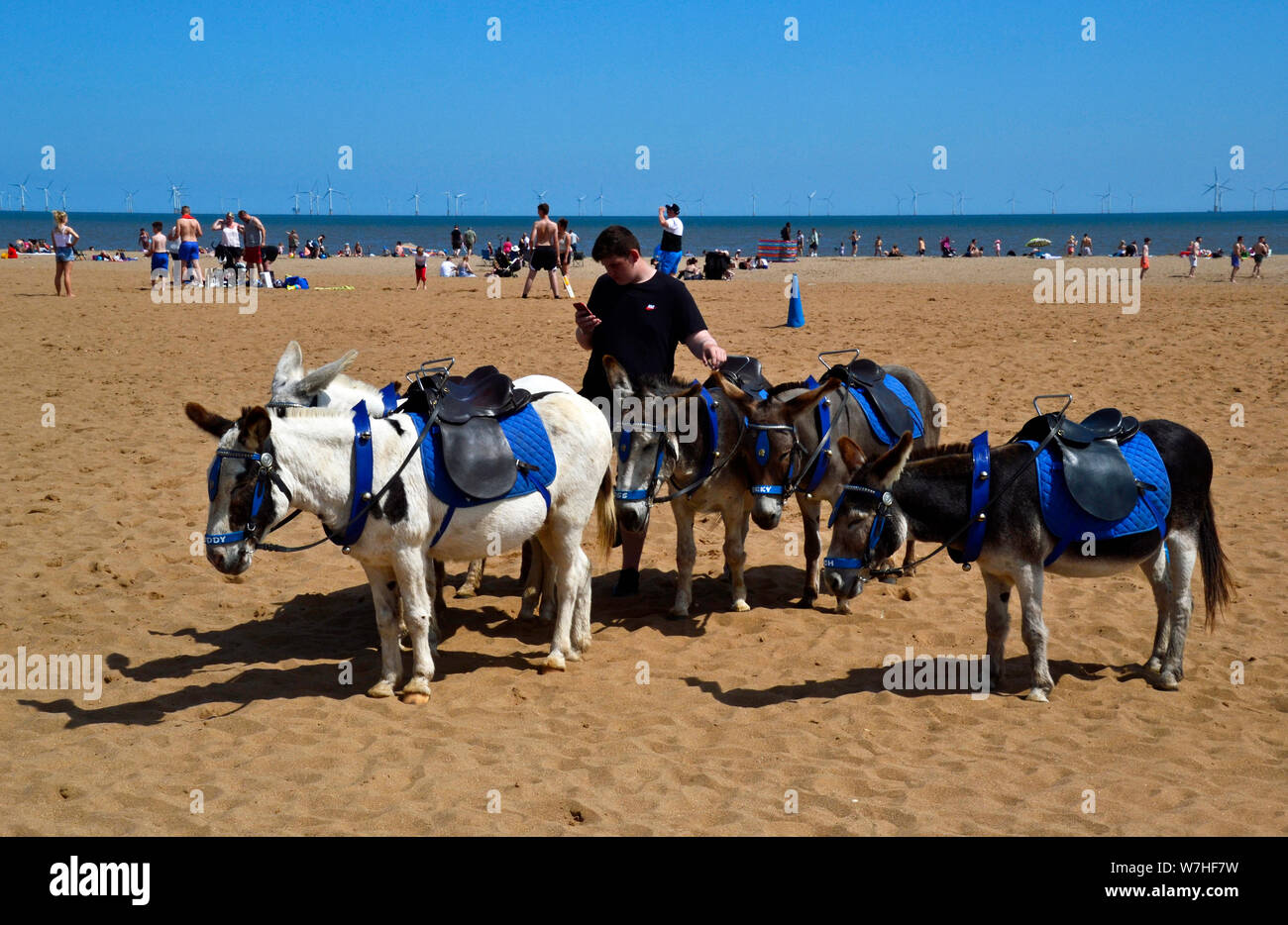 Donkeys beach skegness uk hi-res stock photography and images - Alamy