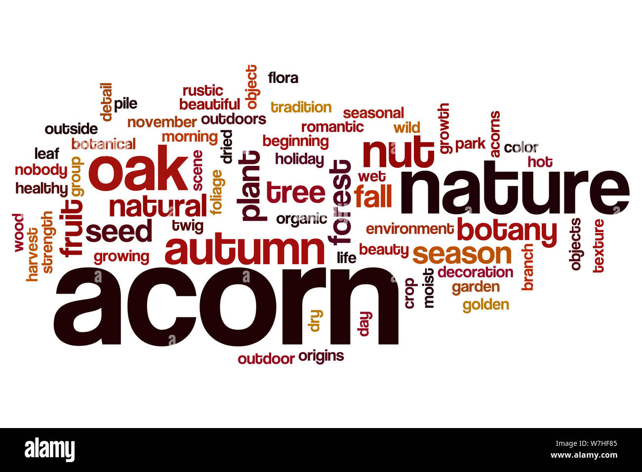Fall autumn word cloud concept hi-res stock photography and images - Alamy