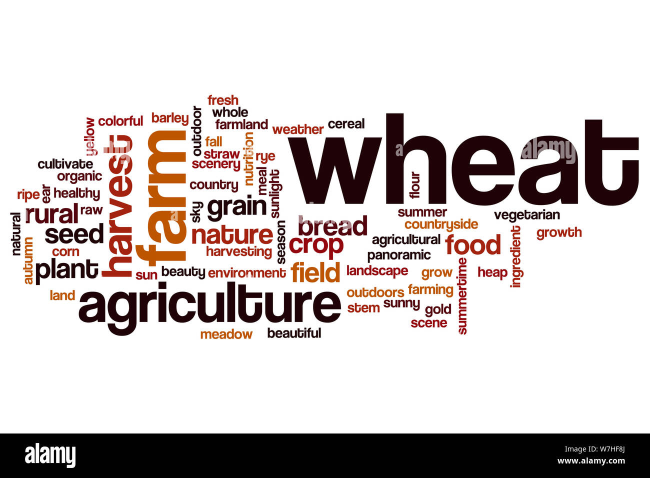 Wheat word cloud concept Stock Photo - Alamy