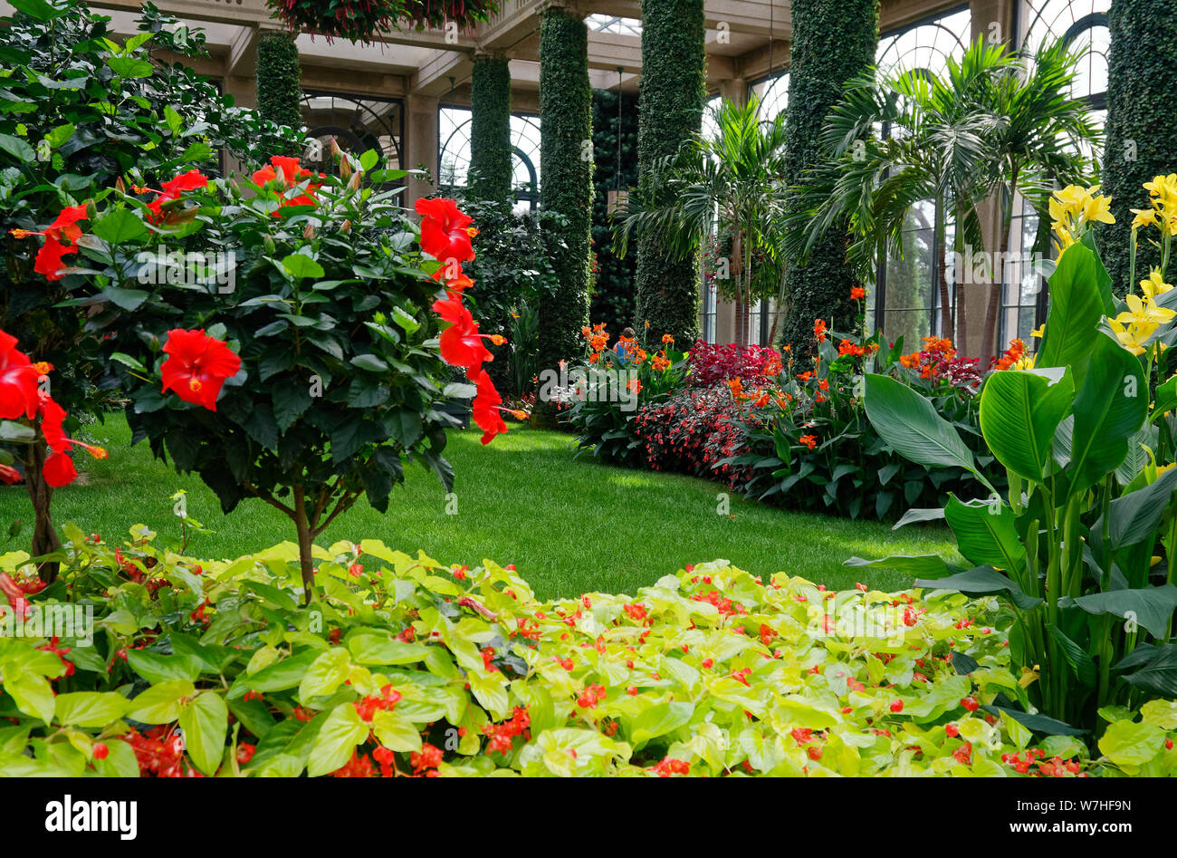 Ivy wrapped pillars hi-res stock photography and images - Alamy