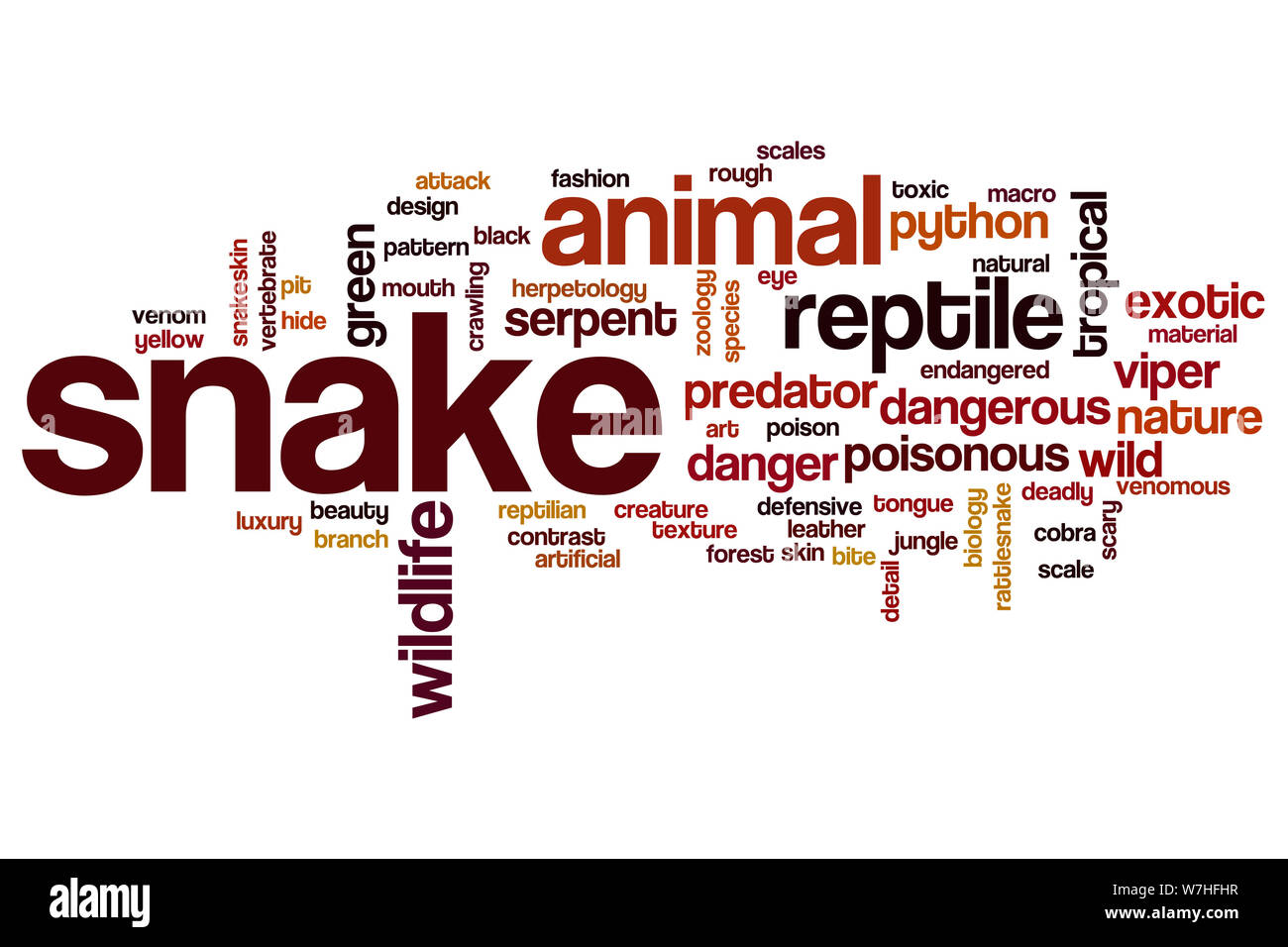 Snake word cloud concept Stock Photo - Alamy