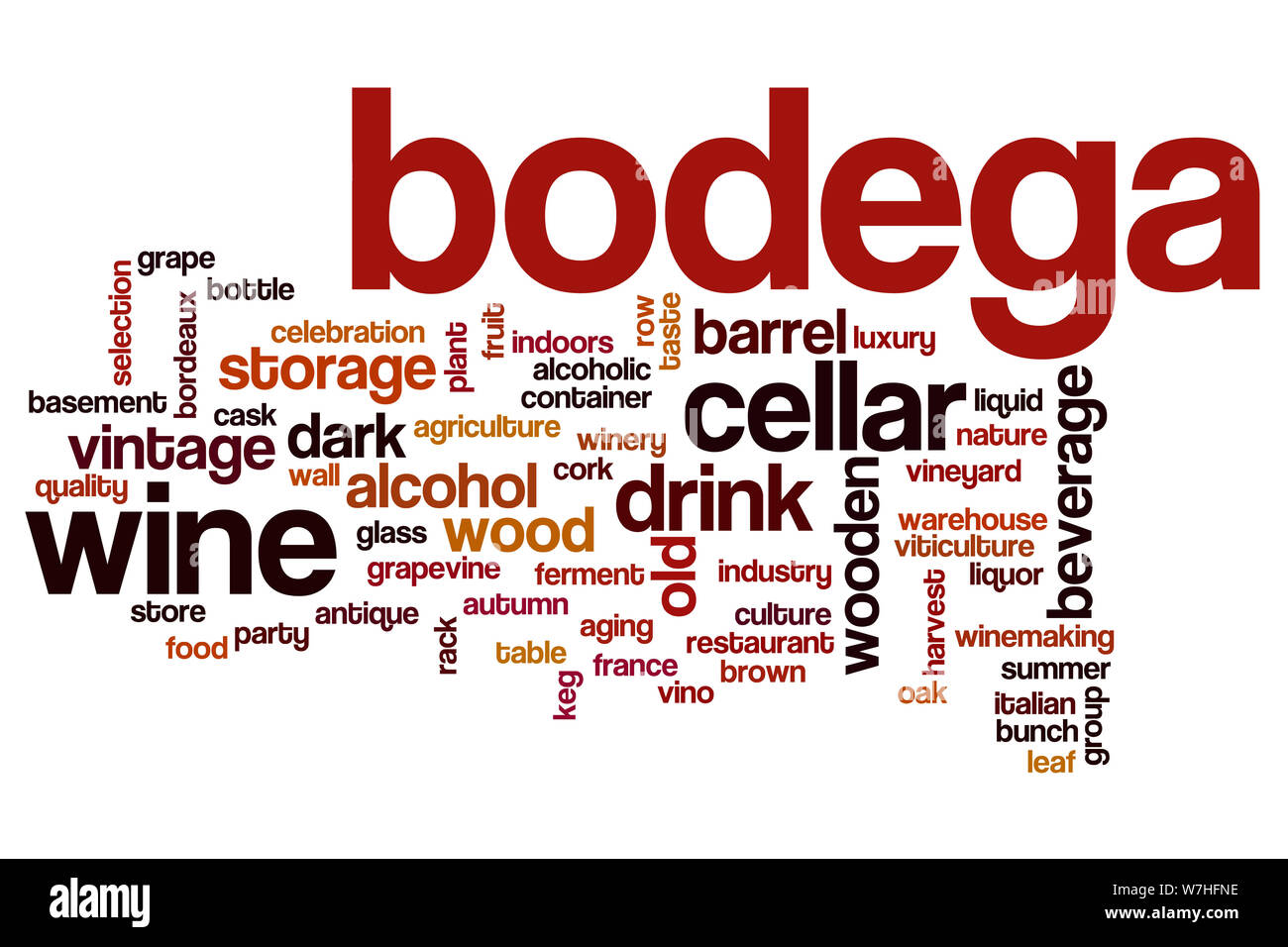 Bodega word cloud concept Stock Photo - Alamy
