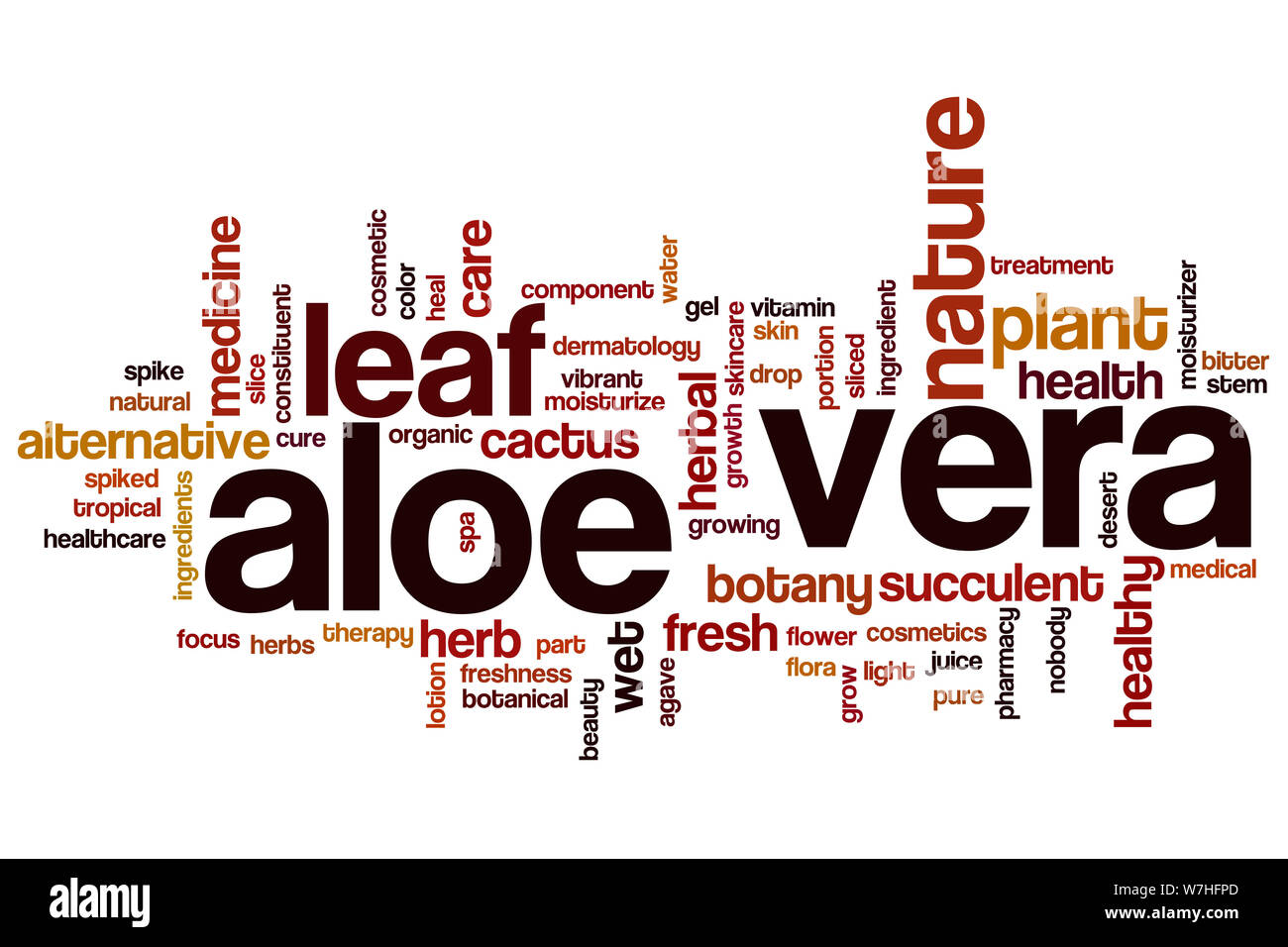 Aloe vera word cloud concept Stock Photo - Alamy